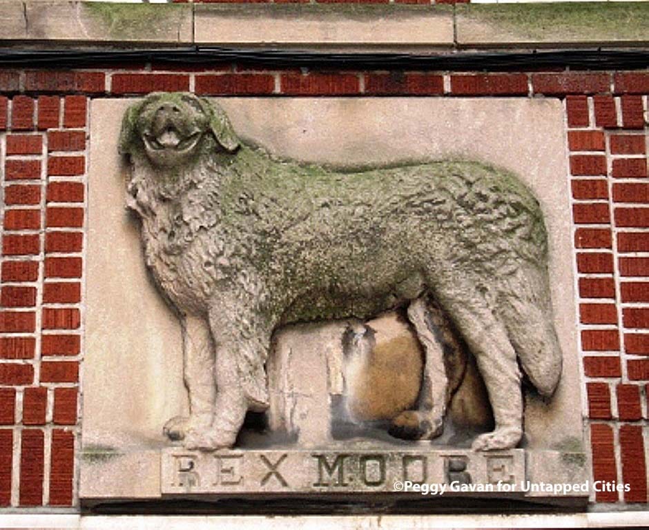The Rex Moore Building in the Bronx: The Only NYC Apartment Named After ...