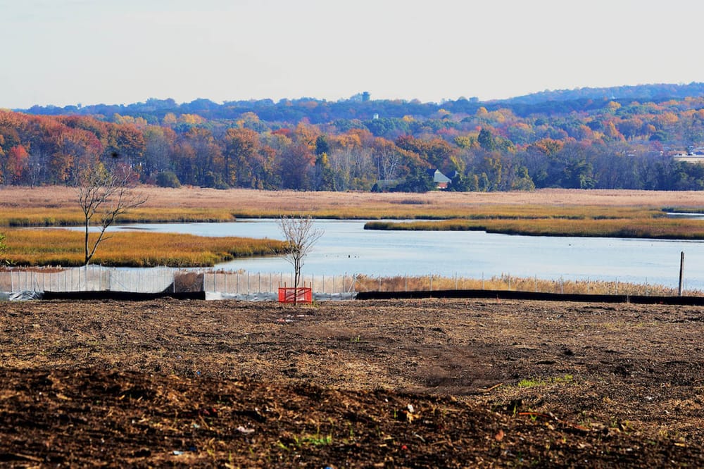 First Park Section Inside NYC's Freshkills Landfill Breaks Ground on ...