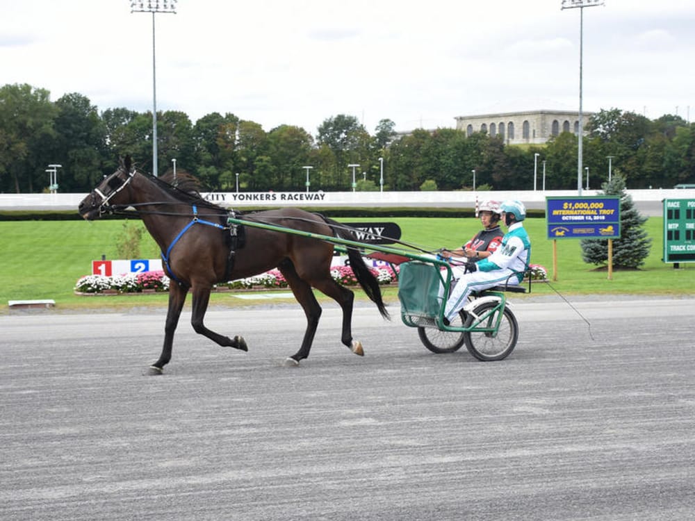 Join a Behind-the-Scenes Horse Racing Experience at Yonkers Raceway ...