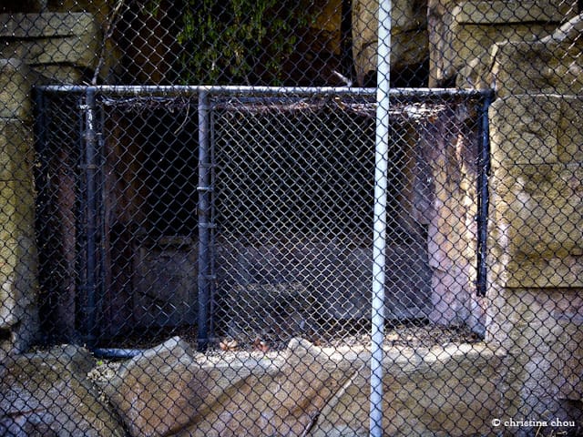 To Live and Die in LA - The Abandoned LA Zoo