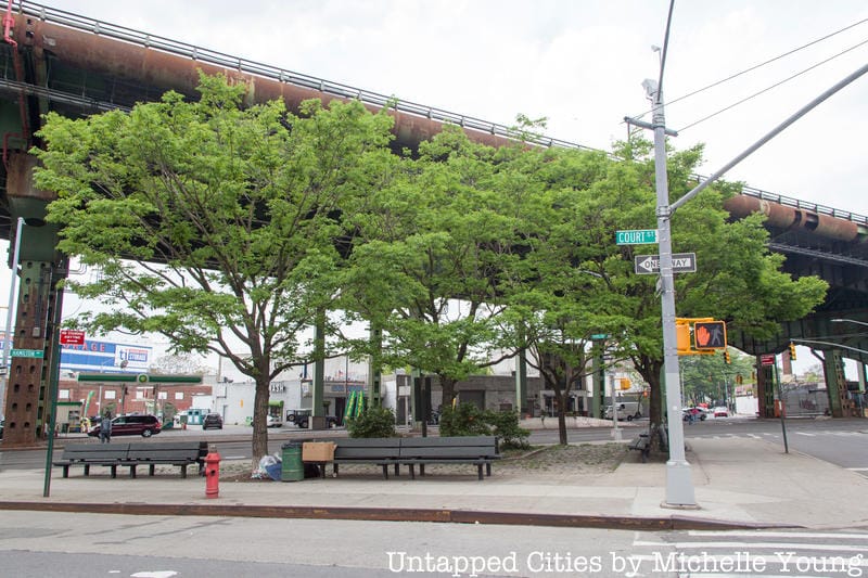 Daily What?! There's a "Cough Triangle" in Carroll Gardens, Brooklyn ...