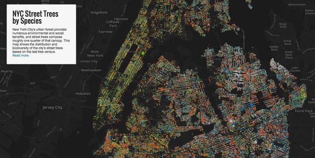 Fun Maps: Mapping NYC's Street Trees from the Tree Census - Untapped ...