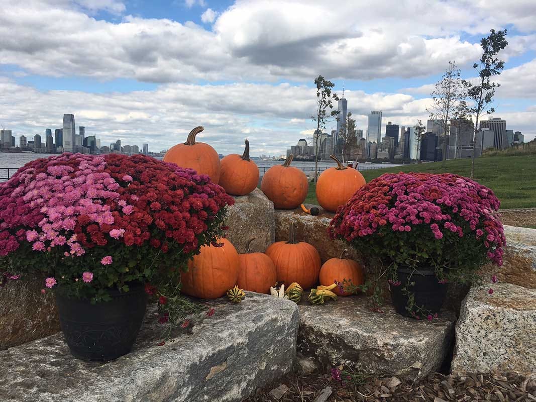 'Pumpkin Point' on Governors Island is a Fall Paradise