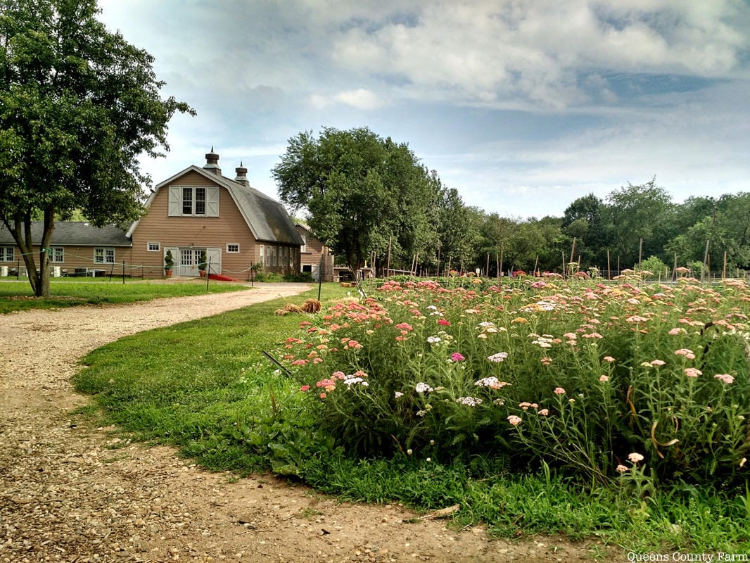 Take a Virtual Tour of One of NYC's Oldest Working Historical Farms ...