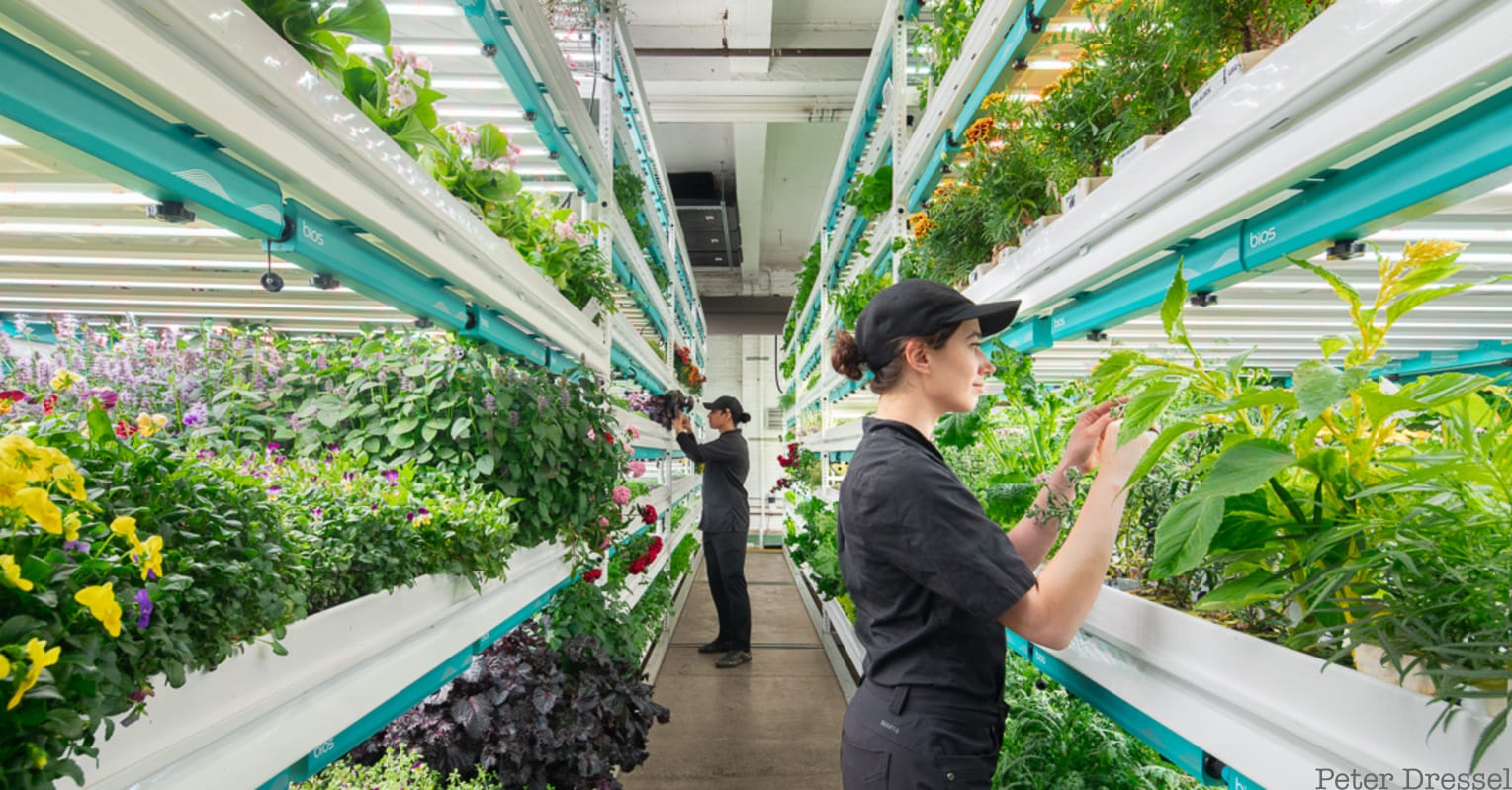 Taste Edible Flowers on a Tour of Brooklyn's Indoor Hydroponic Farm ...