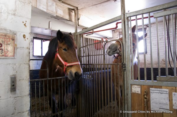 Behind the Scenes in the Clinton Park Horse Stables for the Central ...